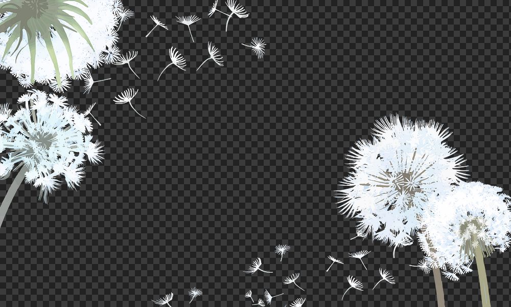 Dandelions png border, transparent background | Premium PNG - rawpixel