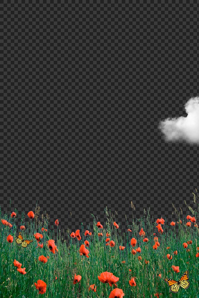Flower field png border, red | Premium PNG - rawpixel