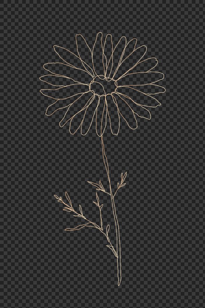 Png flower daisy monoline art | Free PNG Sticker - rawpixel