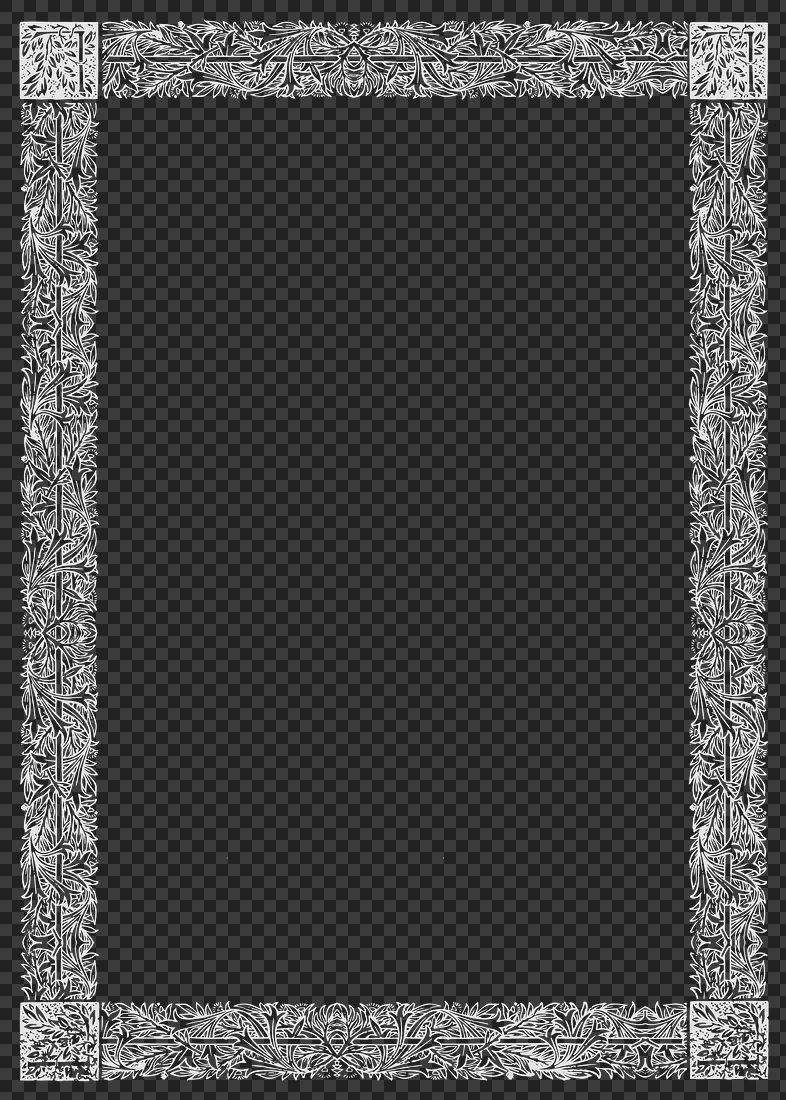PNG Botanical white frame, transparent | Premium PNG - rawpixel