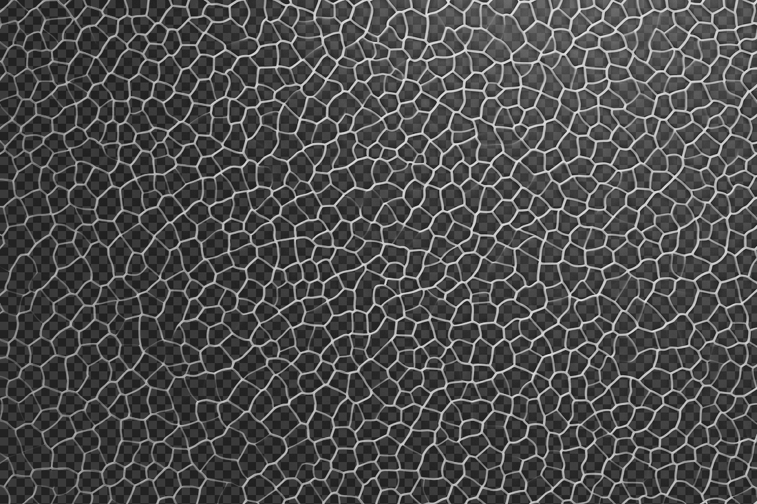 PNG Ground overlay effect, transparent | Premium PNG - rawpixel