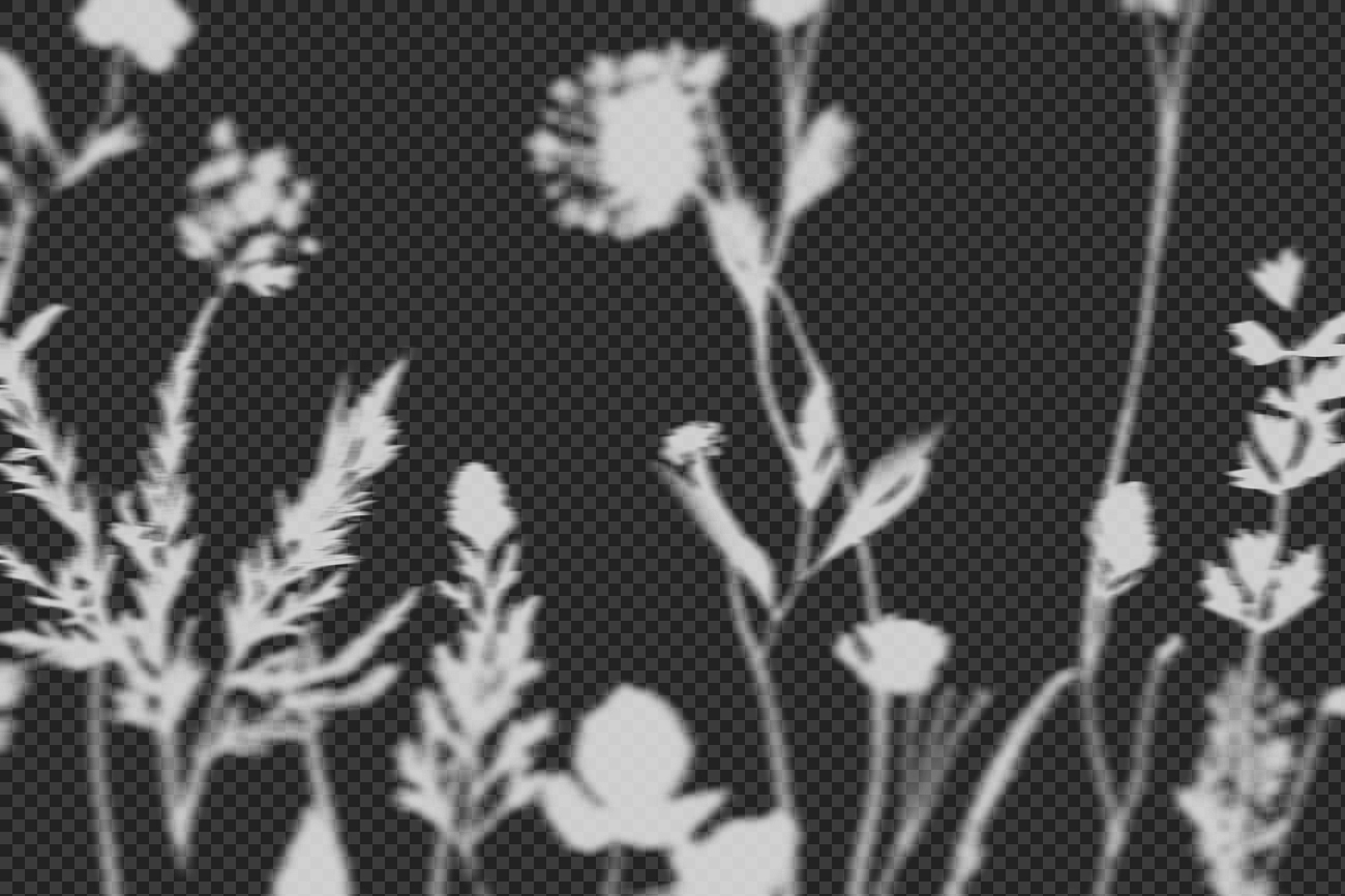 Floral shadow png nature overlay | Premium PNG - rawpixel
