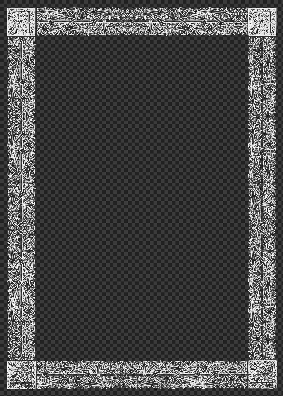 PNG Botanical white frame, transparent | Premium PNG - rawpixel