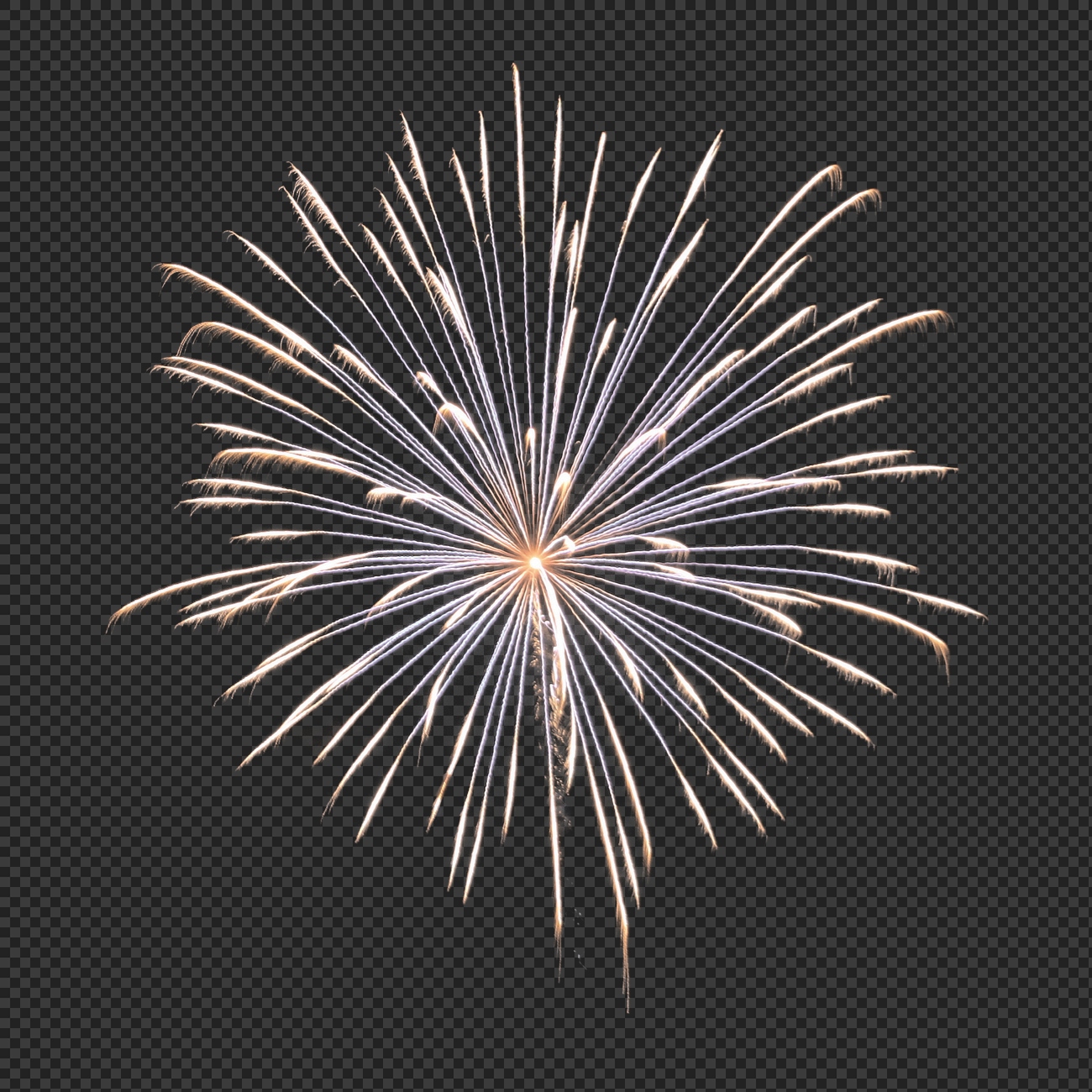 Firework celebration png, transparent background | Free PNG - rawpixel