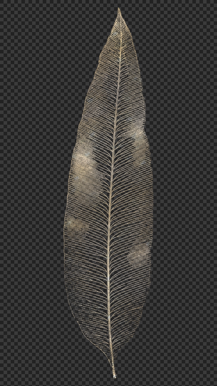 Shimmering golden fern leaf design element | Free stock illustration ...