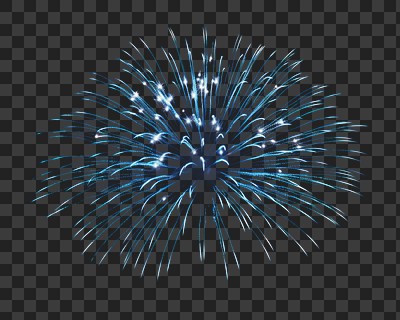 PNG Firework fireworks outdoors night | Premium PNG - rawpixel