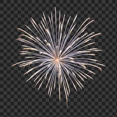 Firework celebration png, transparent background | Free PNG - rawpixel