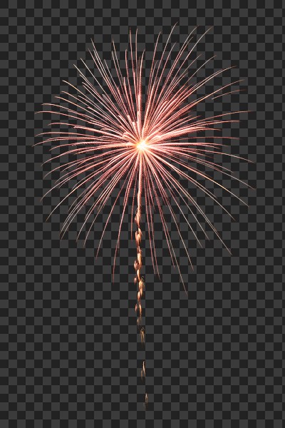 PNG Firework fireworks outdoors nature | Free PNG - rawpixel