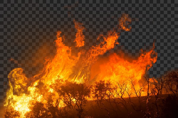 Forest fire png border, transparent | Free PNG - rawpixel