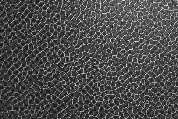 PNG Ground overlay effect, transparent | Premium PNG - rawpixel