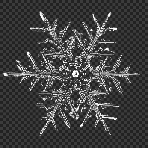Png realistic snowflakes design element | Premium PNG Sticker - rawpixel