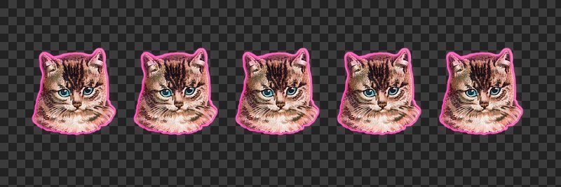 Funny Cat Kitten Images | Download Free Design Resources on rawpixel