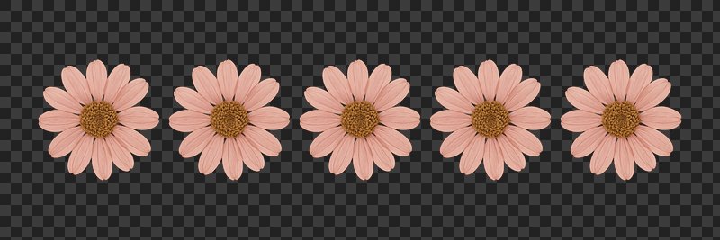 Real+photo Template Templates | Download Free Designs on rawpixel