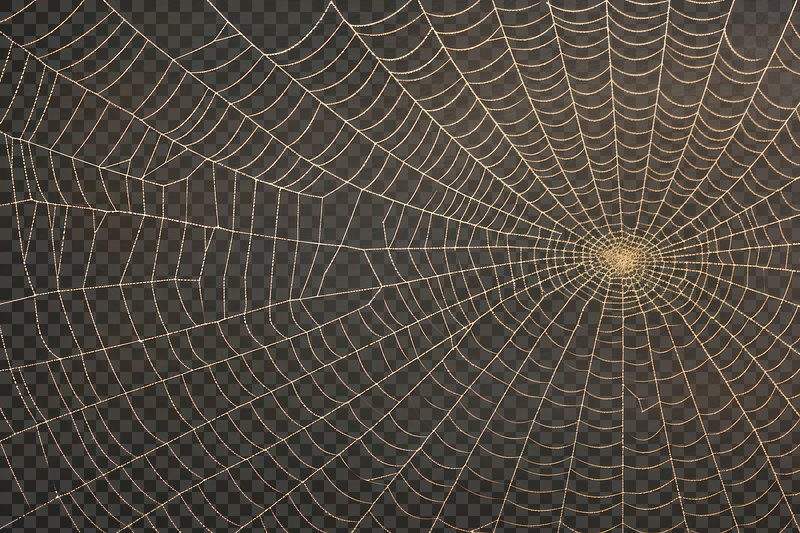 Spider Web PNG Images | Free Photos, PNG Stickers, Wallpapers ...