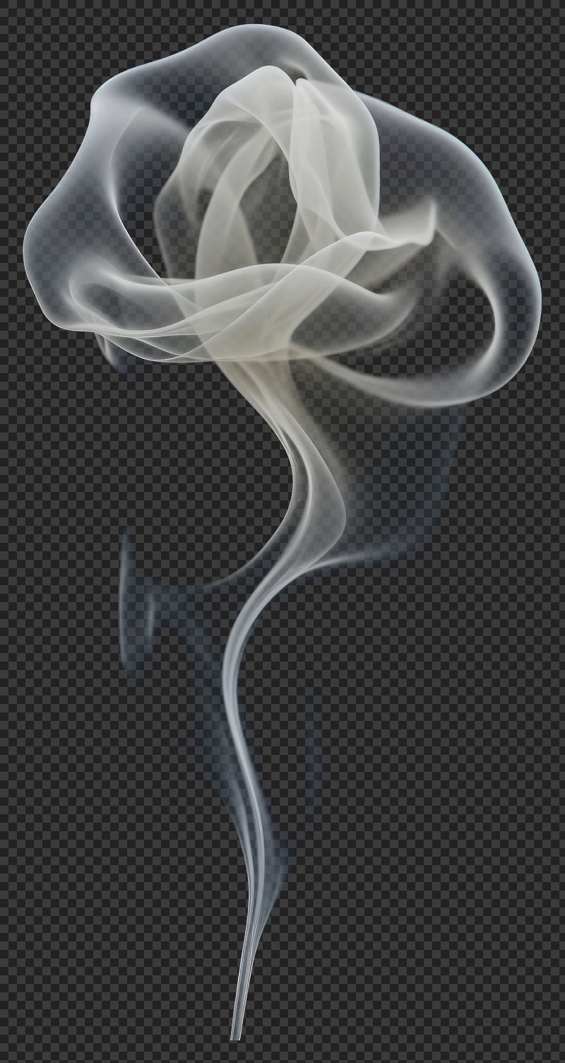 Realistic+silk+flowers PNG Images | Free Photos, PNG Stickers ...