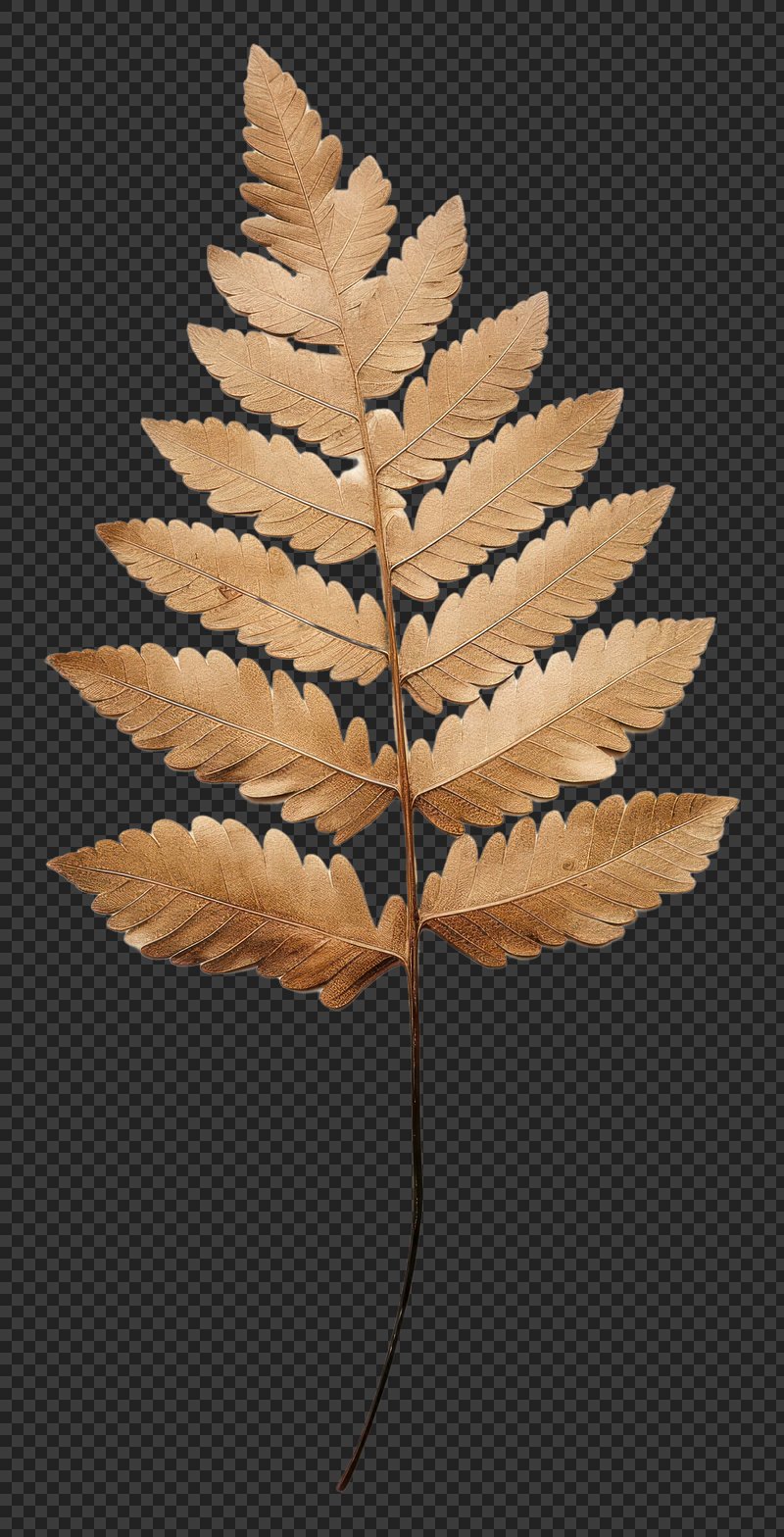 Intellectual Property Text Images | Free Photos, PNG Stickers ...