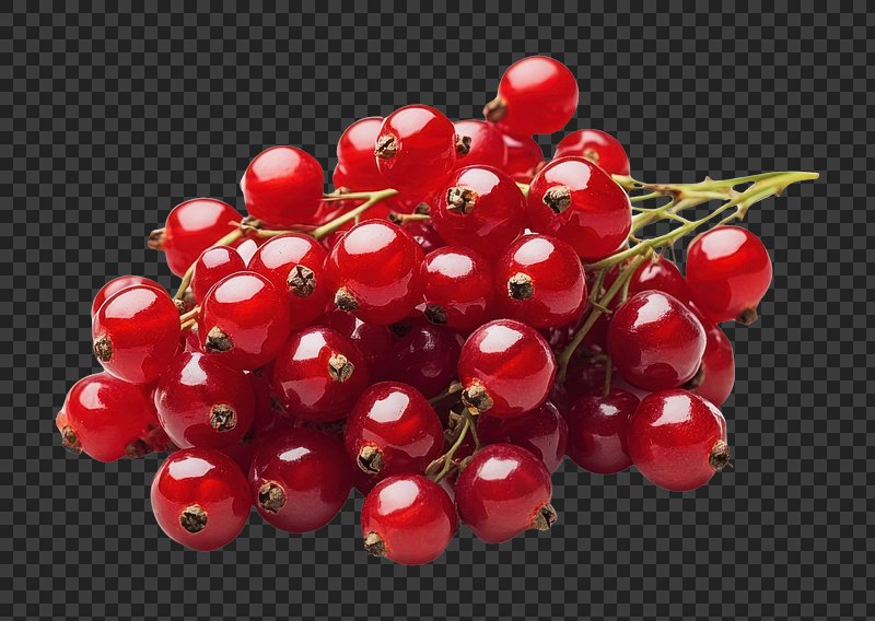Red Currant Images | Free Photos, PNG Stickers, Wallpapers ...