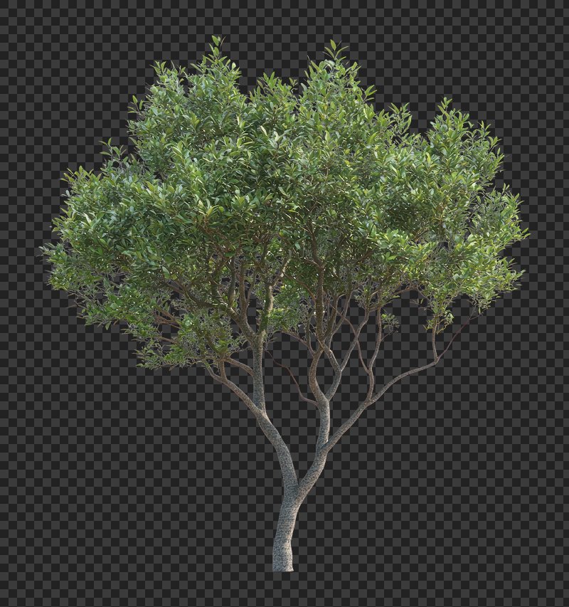 PNG Green tree art illustration | Free PNG - rawpixel