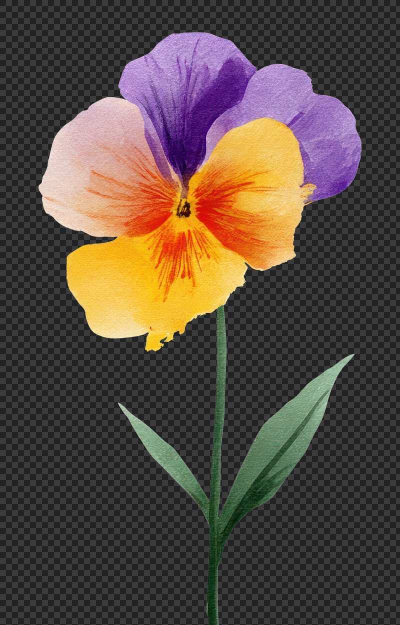 Pansy PNG Images | Free Photos, PNG Stickers, Wallpapers & Backgrounds ...