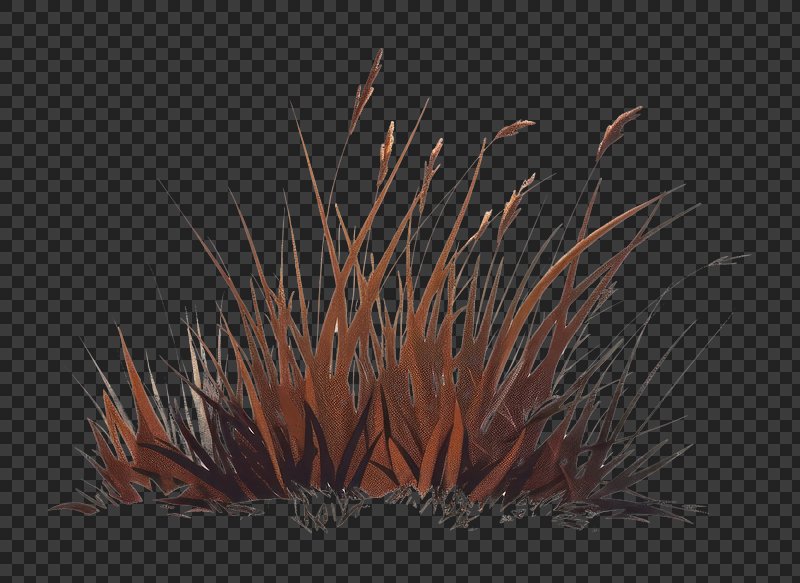 Reeds PNG Images | Free Photos, PNG Stickers, Wallpapers & Backgrounds ...