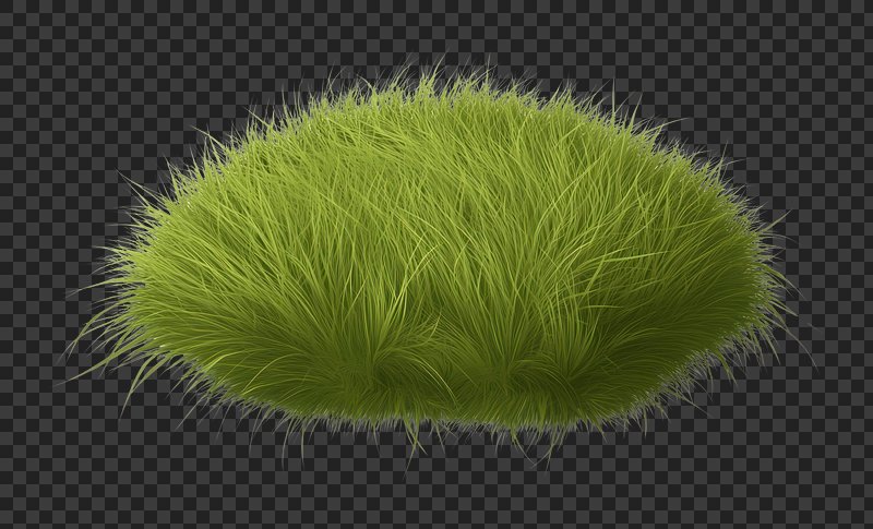 Moss PNG Images | Free Photos, PNG Stickers, Wallpapers & Backgrounds ...