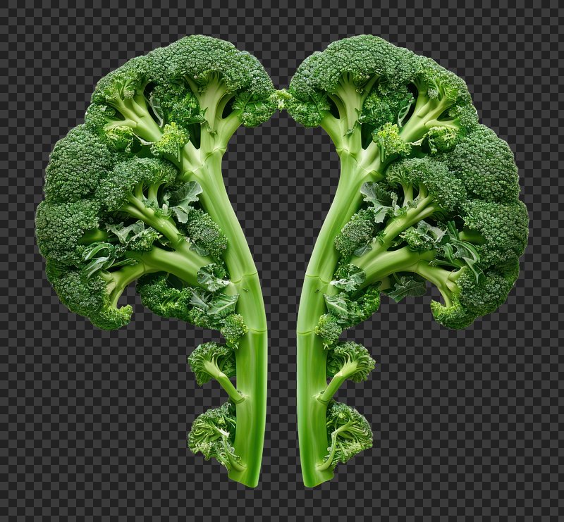 Two broccoli heads vegetable concept | Free Photo - rawpixel