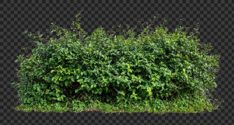 PNG Green garden bushes background | Free PNG - rawpixel