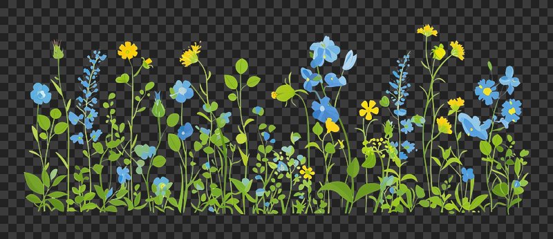 PNG wildflower meadow border, transparent | Premium PNG - rawpixel