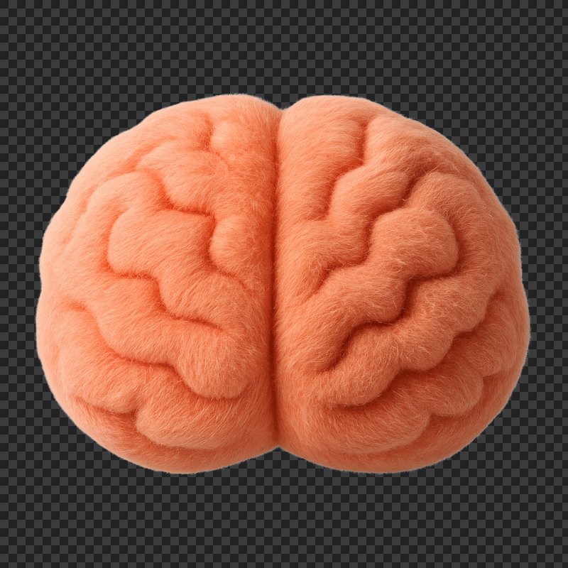Brain Texture Images | Free Photos, PNG Stickers, Wallpapers ...