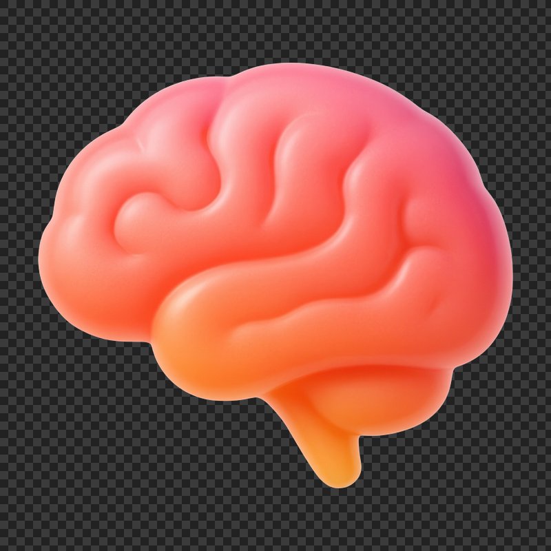 Brain Texture Images | Free Photos, PNG Stickers, Wallpapers ...