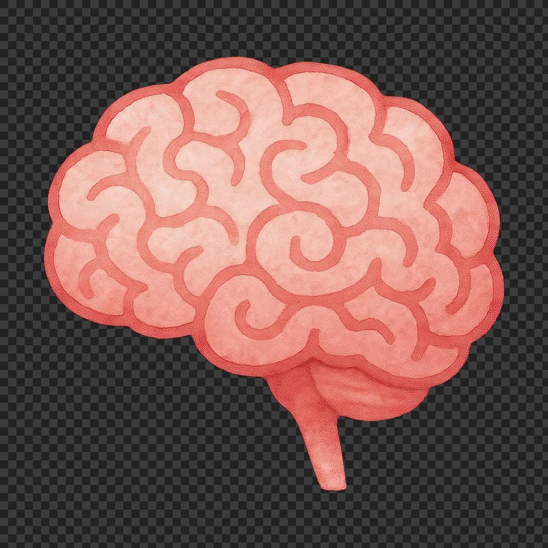 Brain Texture Images | Free Photos, PNG Stickers, Wallpapers ...