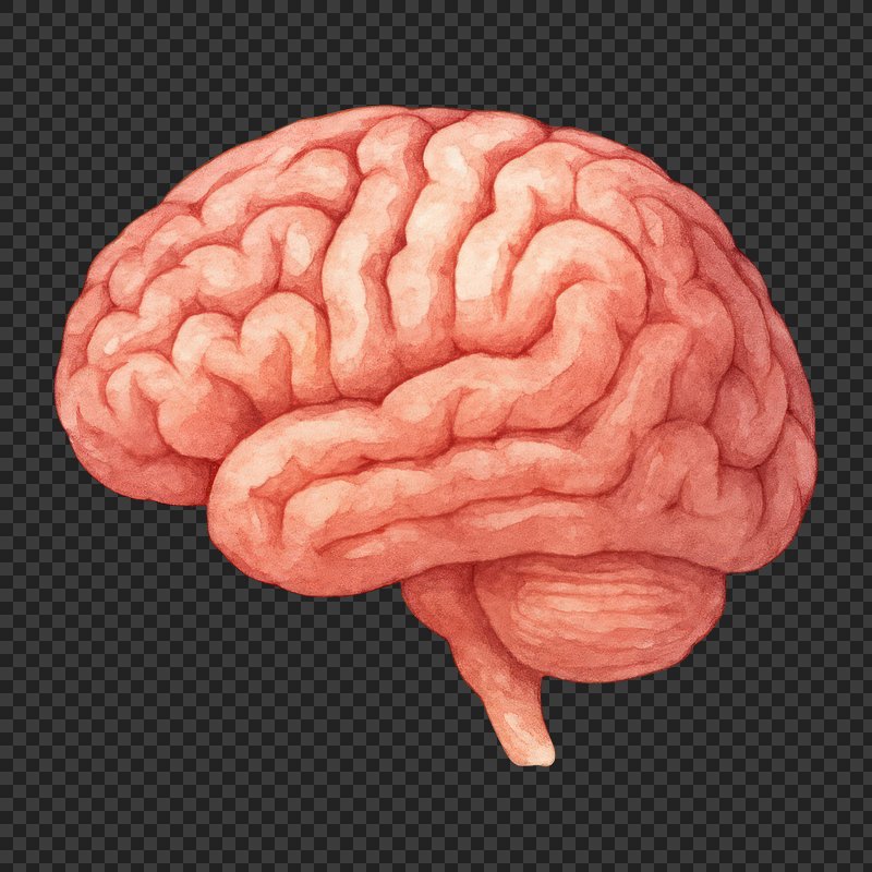 Brain Texture Images | Free Photos, PNG Stickers, Wallpapers ...