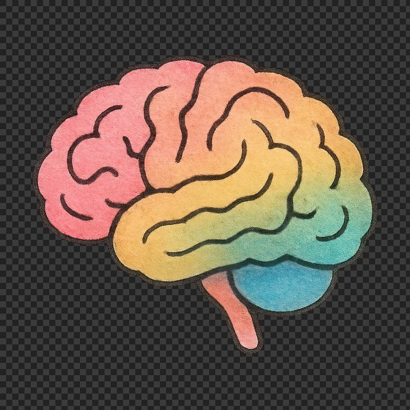 Brain Texture Images | Free Photos, PNG Stickers, Wallpapers ...