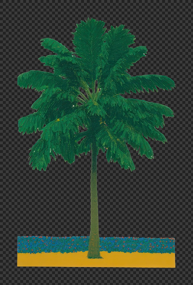 PNG Tropical palm tree top | Premium PNG - rawpixel