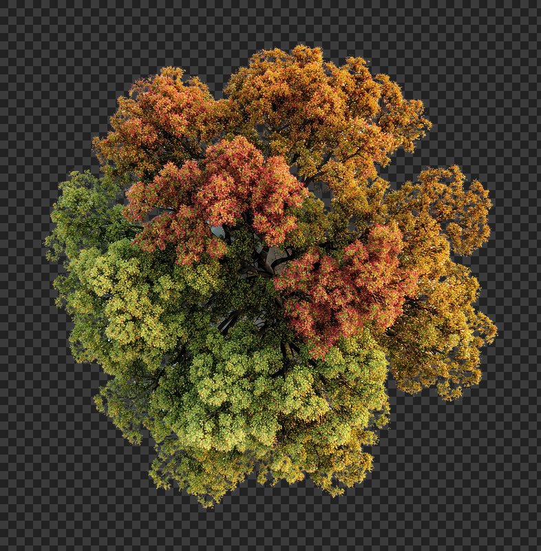 Tree Top View PNG Images | Free Photos, PNG Stickers, Wallpapers ...