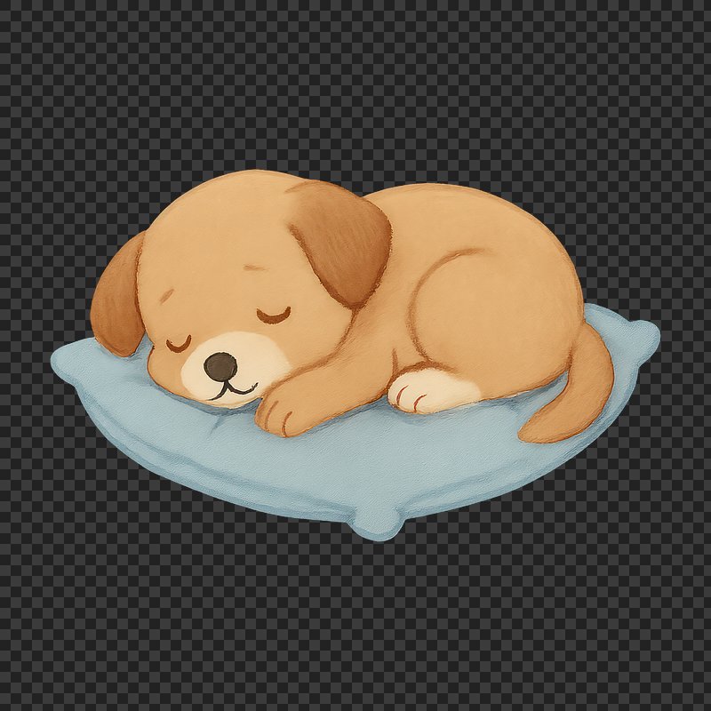 Sleep PNG Images | Free Photos, PNG Stickers, Wallpapers & Backgrounds ...