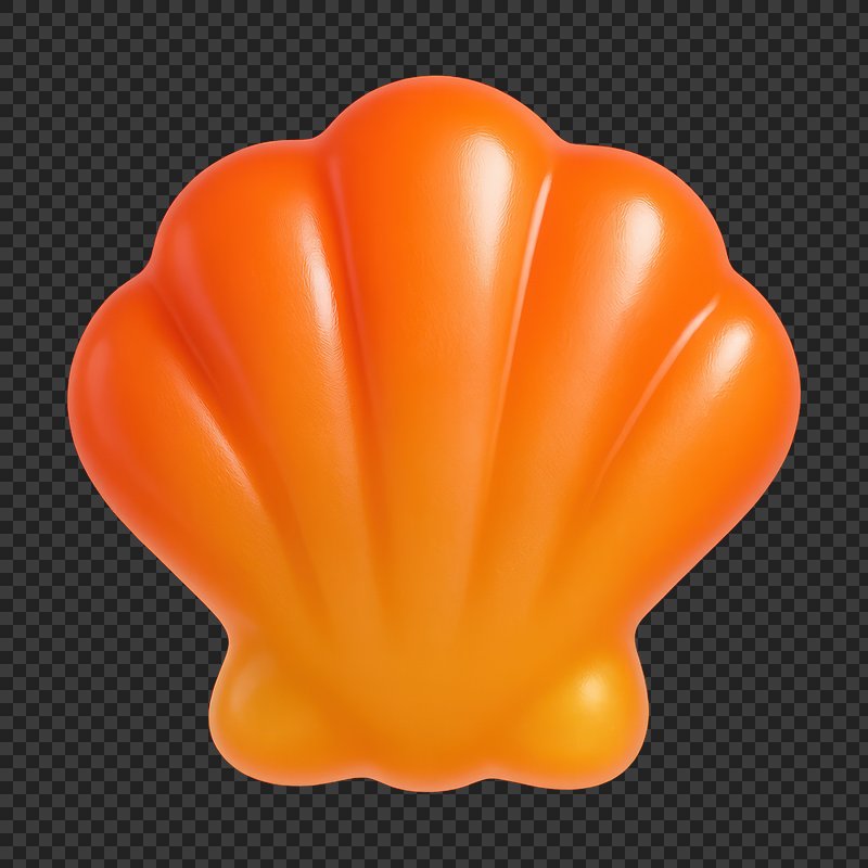 PNG Beach Seashell Ocean Transparent Images | Free Photos, PNG Stickers ...