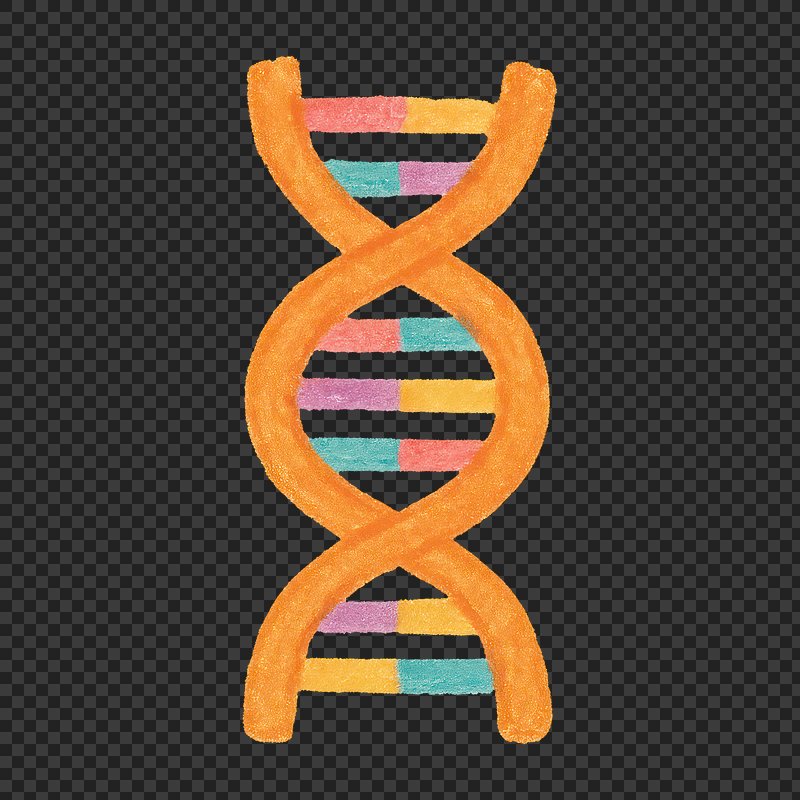 Genetics PNG Images | Free Photos, PNG Stickers, Wallpapers ...