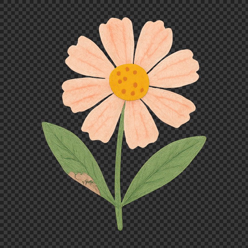 Wonder Flower PNG Images | Free Photos, PNG Stickers, Wallpapers ...