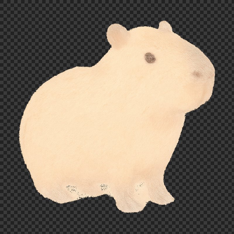 Transparent Capybara Images | Free Photos, PNG Stickers, Wallpapers ...