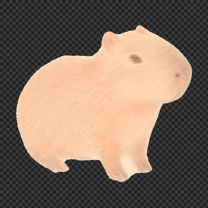 Transparent Capybara Images | Free Photos, PNG Stickers, Wallpapers ...