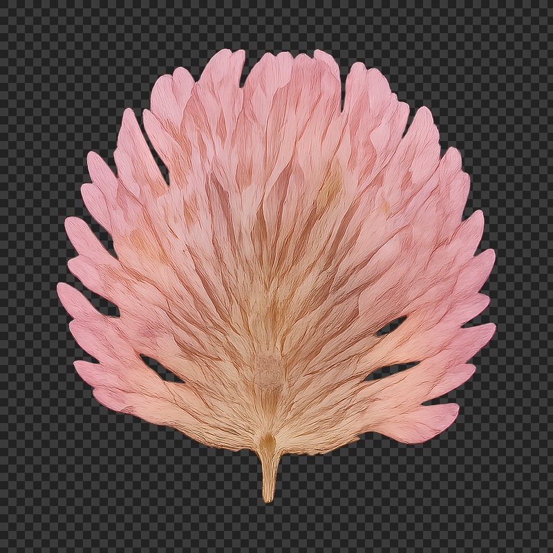 Sticker Background Design Images | Free Photos, PNG Stickers ...