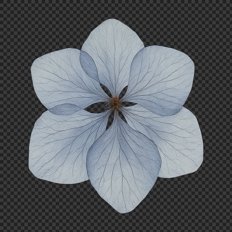 Art+stickers+for+ceiling Transparent Images | Free Photos, PNG Stickers ...