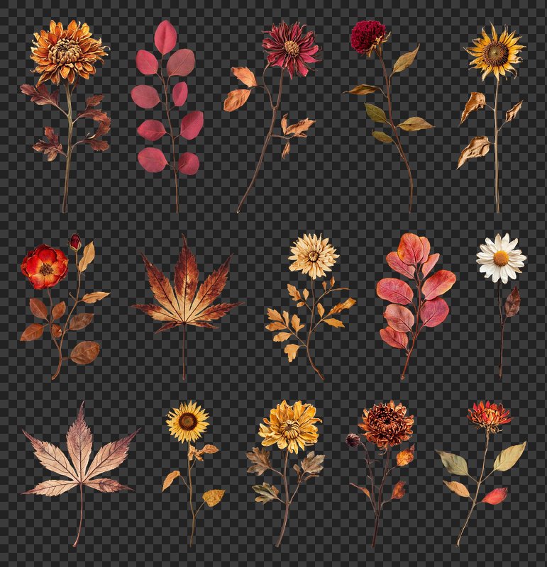 PNG Autumn leaves flowers illustration | Premium PNG - rawpixel