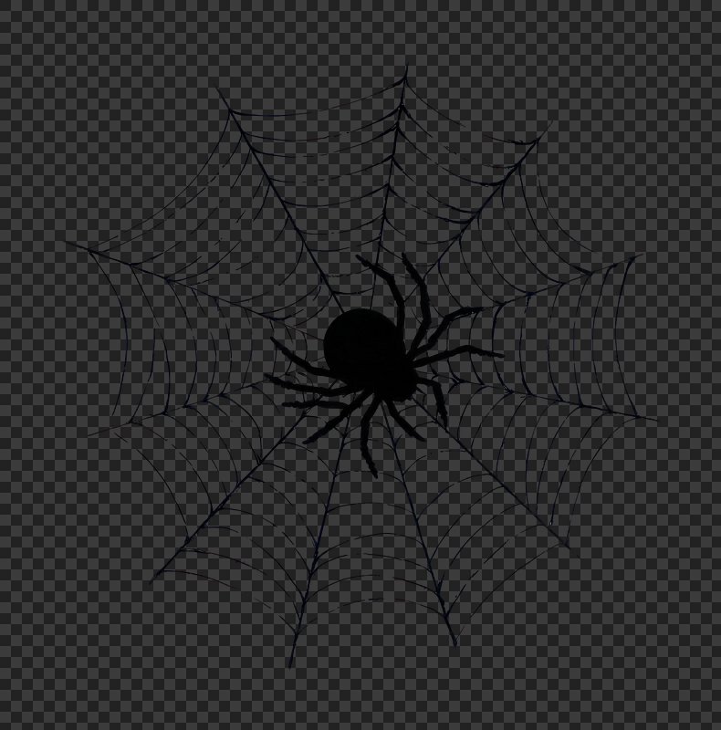 Spider Webs PNG Images | Free Photos, PNG Stickers, Wallpapers ...