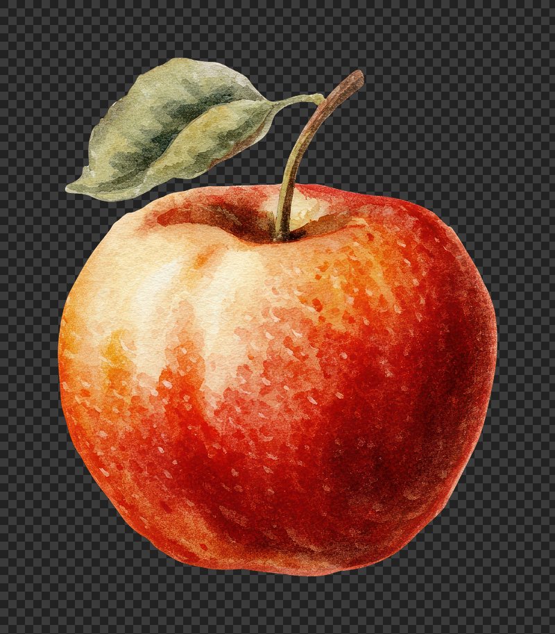 PNG Illustration apple fruit watercolor | Free PNG - rawpixel