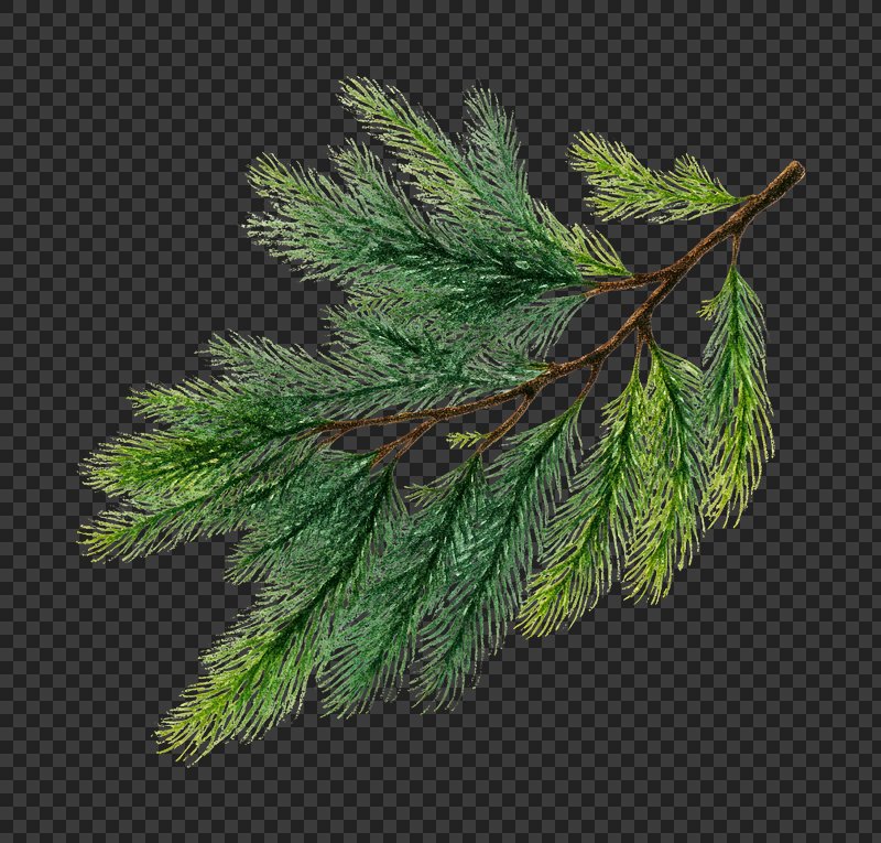 Cliparts+design Transparent Images | Free Photos, PNG Stickers ...