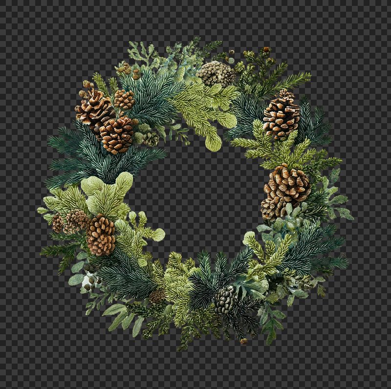 Pinecone+vector PNG Images | Free Photos, PNG Stickers, Wallpapers ...