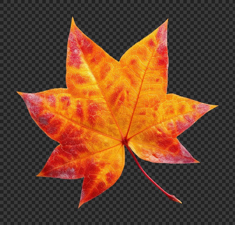 Fish Transparent Images | Free Photos, PNG Stickers, Wallpapers ...