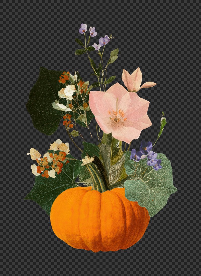 Texture Spice Transparent Images | Free Photos, PNG Stickers ...